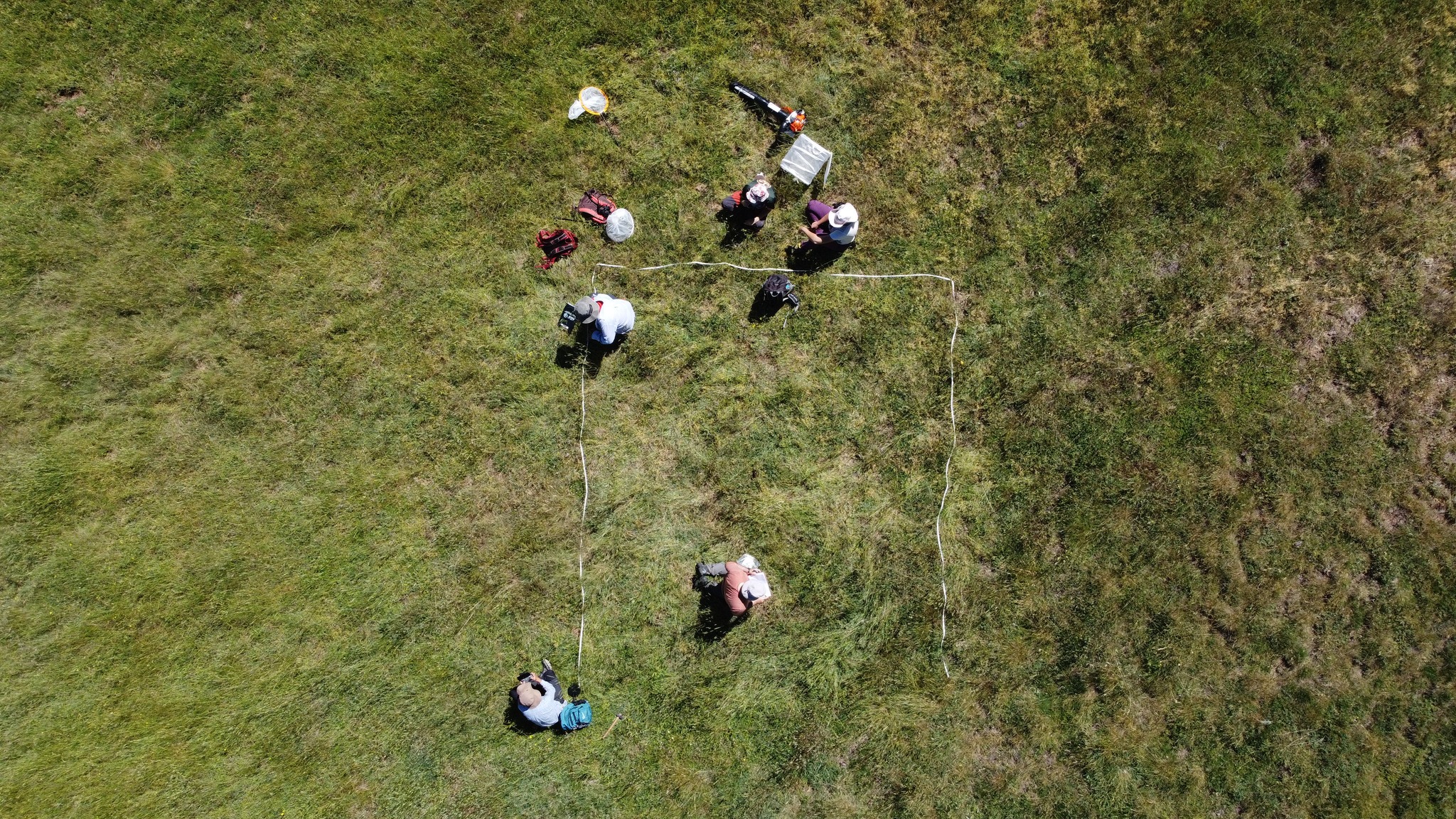 LIVEMOUNT: Memories of the first year sampling - Biodiversity ...